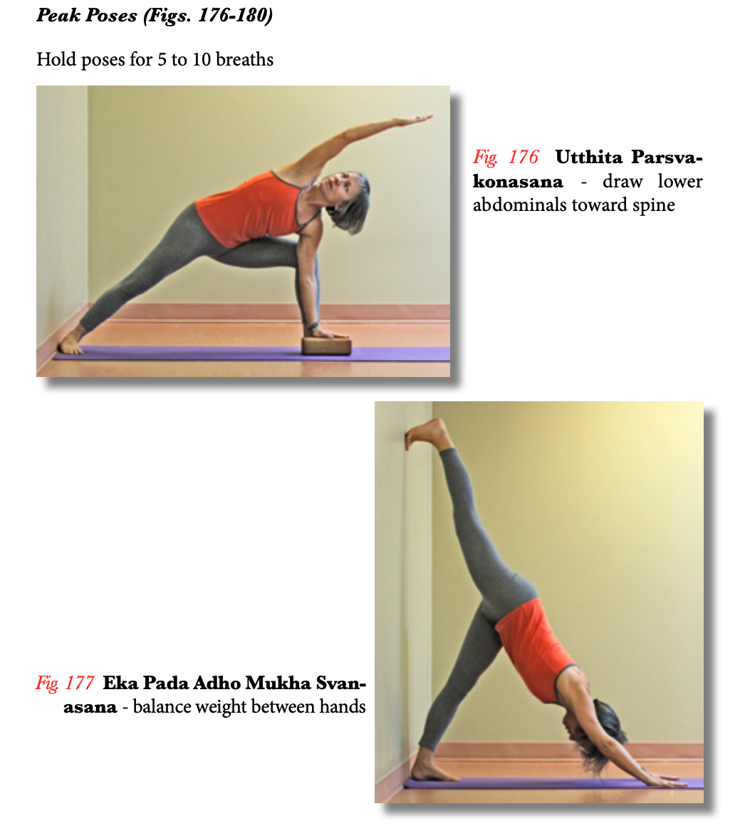 Lengthening the Torso — Breastbone – Right to Joy