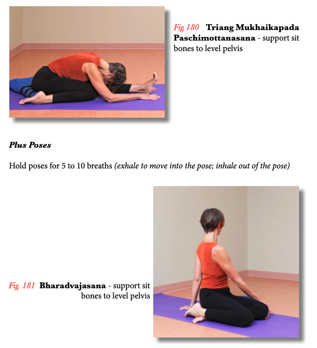 Lengthening the Torso — Breastbone – Right to Joy