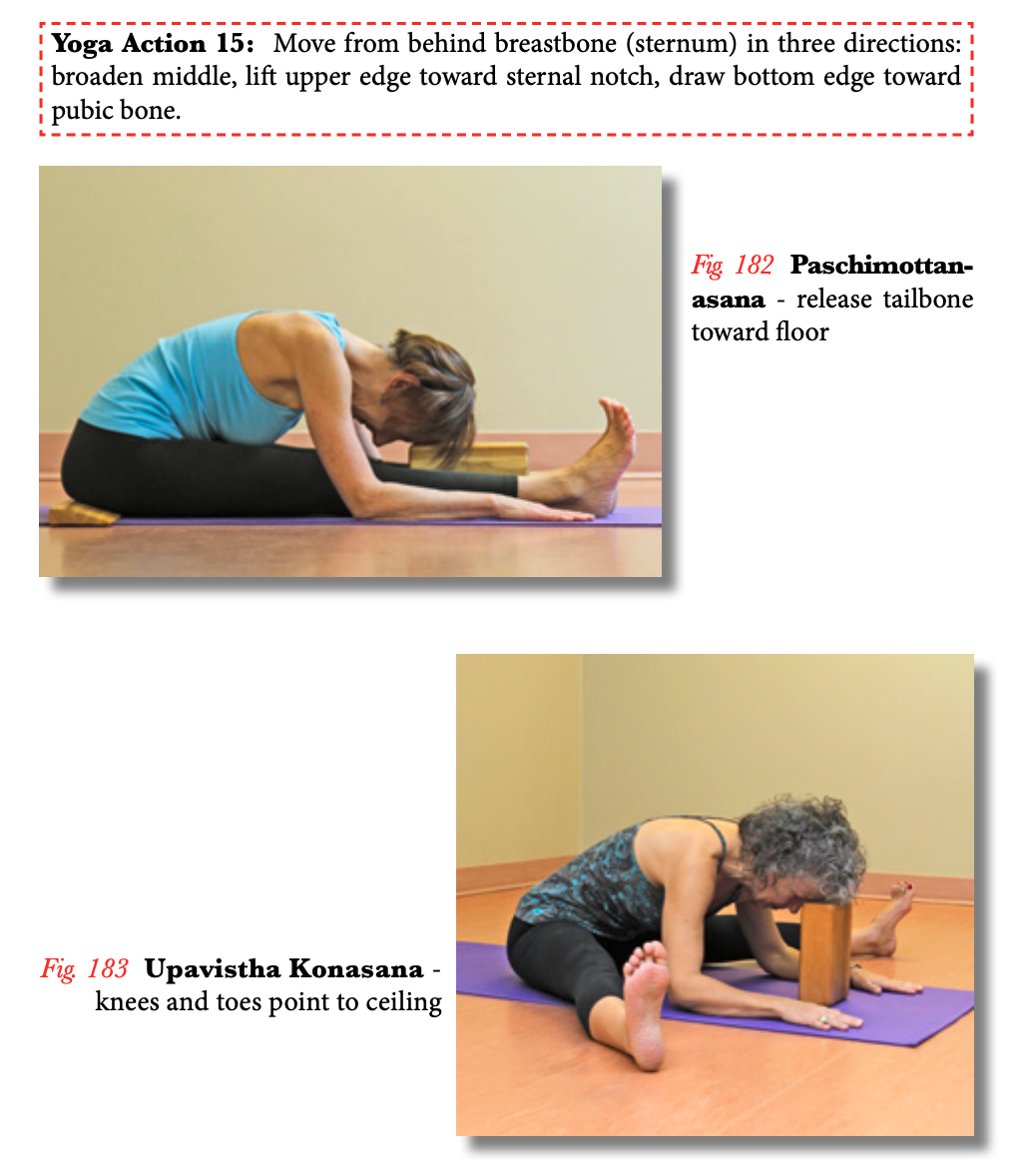 Lengthening the Torso — Breastbone – Right to Joy
