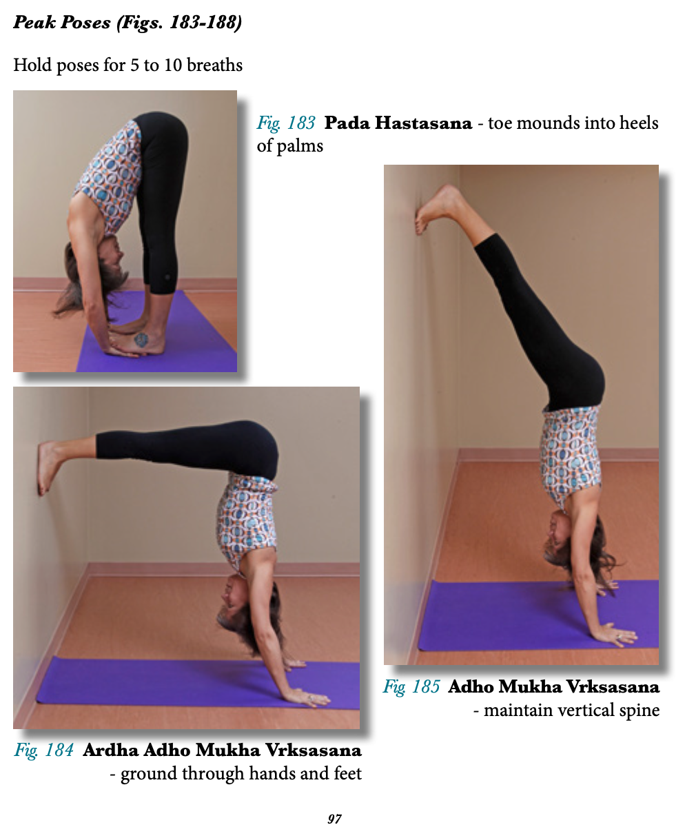 Grounding Your Pelvis in Symmetrical Poses – Right to Joy