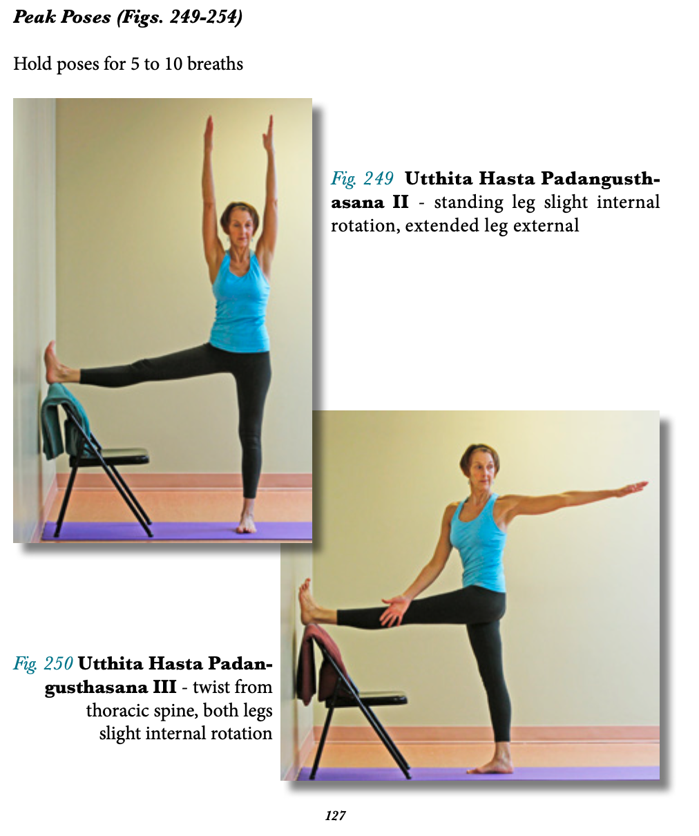 Yoga Actions for a Spacious Pelvic Bowl – Right to Joy