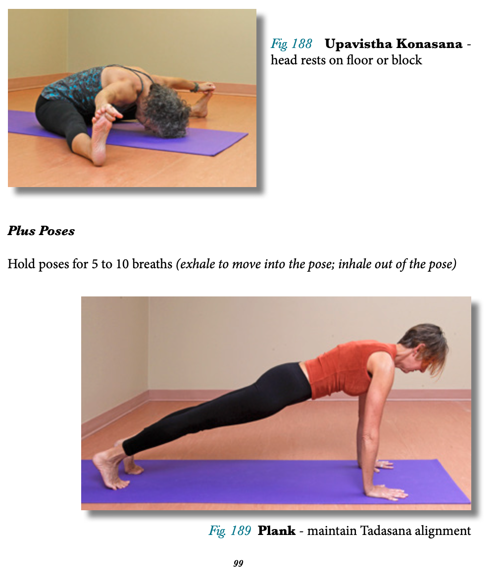 Grounding Your Pelvis in Symmetrical Poses – Right to Joy