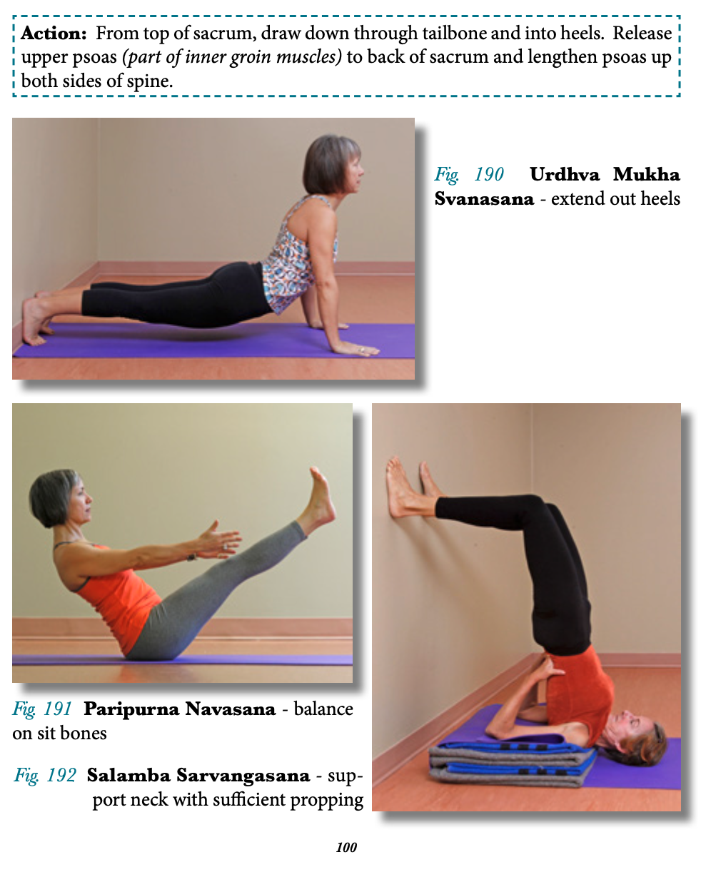 Grounding Your Pelvis in Symmetrical Poses – Right to Joy