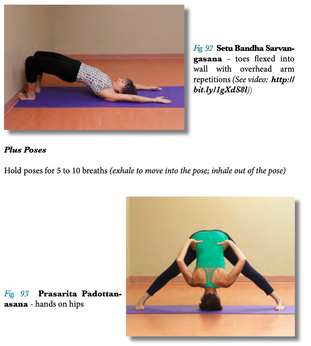 Yoga Actions for Ankle Alignment? – Right to Joy